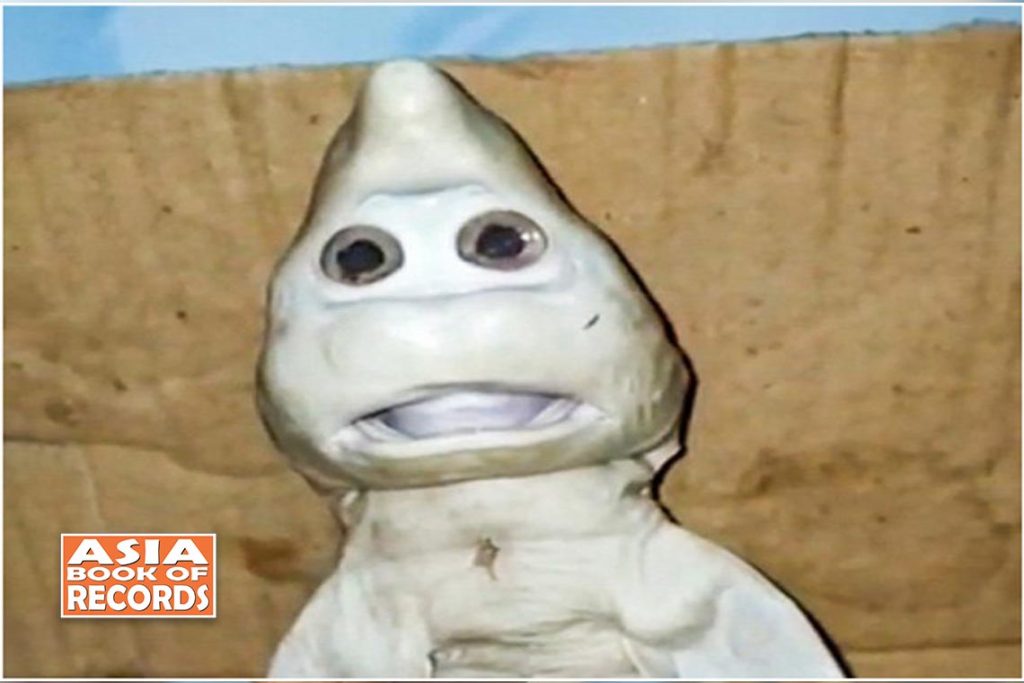 Shark With Human Face