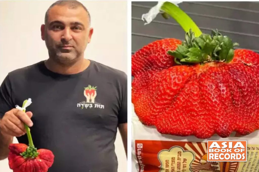 Heaviest strawberry grown by an individual - Asia Book of Records